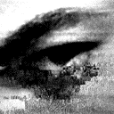 DISTORTED MACHINE | Members