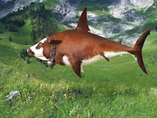 random picture of a cow shark Spray for Team Fortress 2 | TF2 Sprays