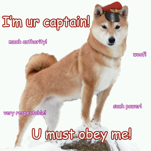 Captain Doge [Team Fortress 2] [Sprays]