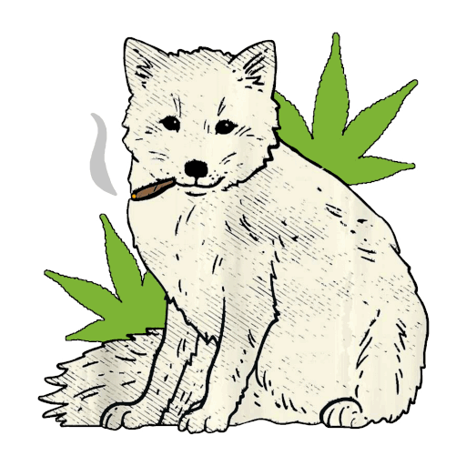Animated Animals Smoking Weed