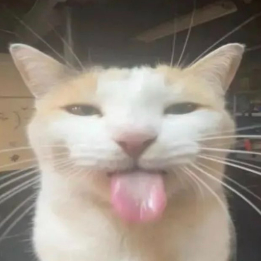Silly Cat