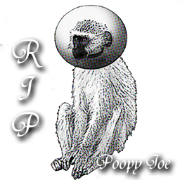 R.I.P. Poopy Joe (memorial) Spray for Team Fortress 2 | TF2 Sprays