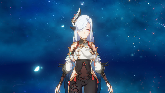 Shenhe Skin no Characters Collection for Genshin Impact | GI Collections