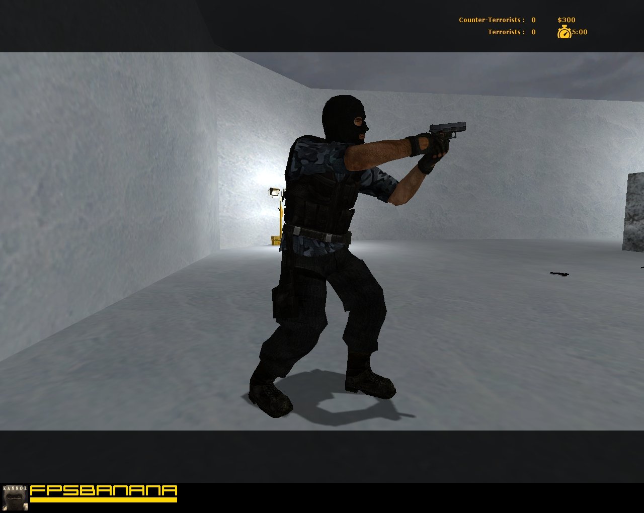 Winter Pheonix [Counter-Strike: Source] [Mods]