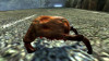High Quality Headcrabs + Clean Lamarr Mod for Half-Life 2 | HL2 Mods