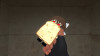 Reimu Sandwich Mod for Team Fortress 2 | TF2 Mods