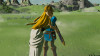 Zelink Hug Mod for The Legend of Zelda: Breath of the Wild (WiiU ...