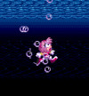 Extra Slot Modern Amy Mod for Sonic 3 A.I.R. | S3AIR Mods