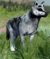 Simple Coat Customizations Mod for WolfQuest: Anniversary Edition | WQ ...