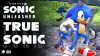 Dokatzo's TRUE SONIC Mod for Unleashed Recompiled | UR Mods