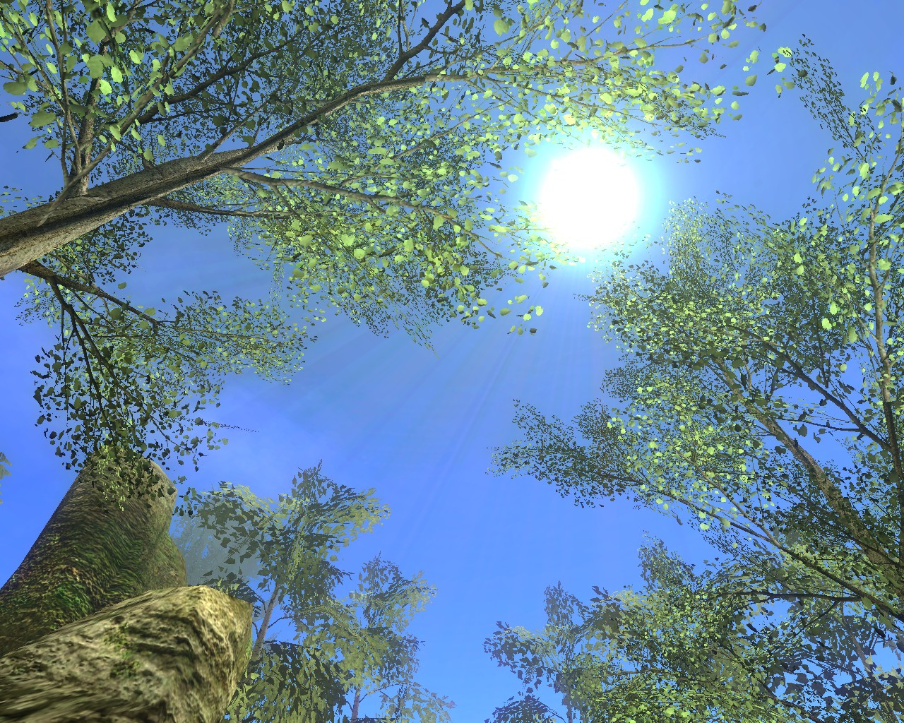 gm_forest2008 Mod for Garry's Mod | GMod Mods