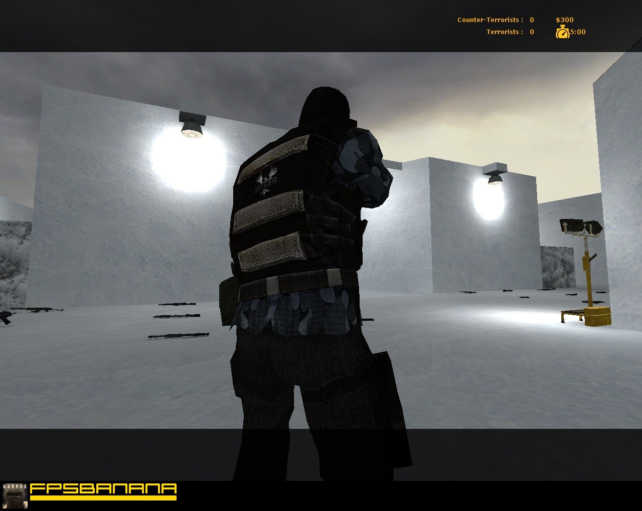 Winter Pheonix [Counter-Strike: Source] [Mods]
