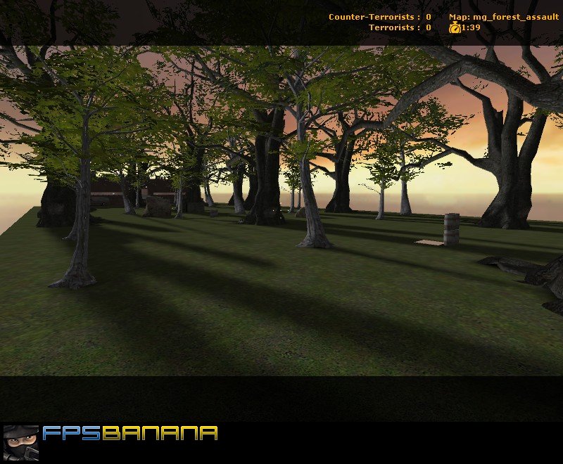 Mg_forest_assault_final_v2 [Counter-Strike: Source] [Mods]