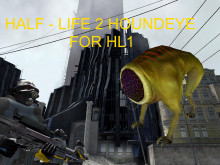 Houndeyes [Half-Life] [Mods]