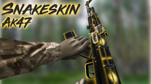 Skins [Call of Duty 4: Modern Warfare] [Mods]