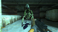 Guard & Guardian [Half-Life 2] [Mods]