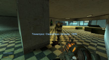 Skins [Half-Life 2: Deathmatch] [Mods]