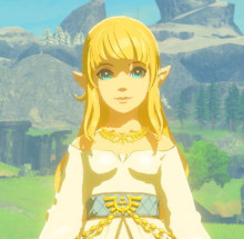 Linkle Collection for The Legend of Zelda: Breath of the Wild (WiiU ...