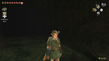 Mods [The Legend of Zelda: Twilight Princess HD (Wii U)]