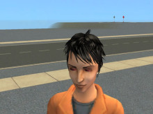 Skins [The Sims 2] [Mods]
