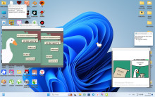 Desktop Goose Mods, Tutorials & Community | DsktpGoose Hub