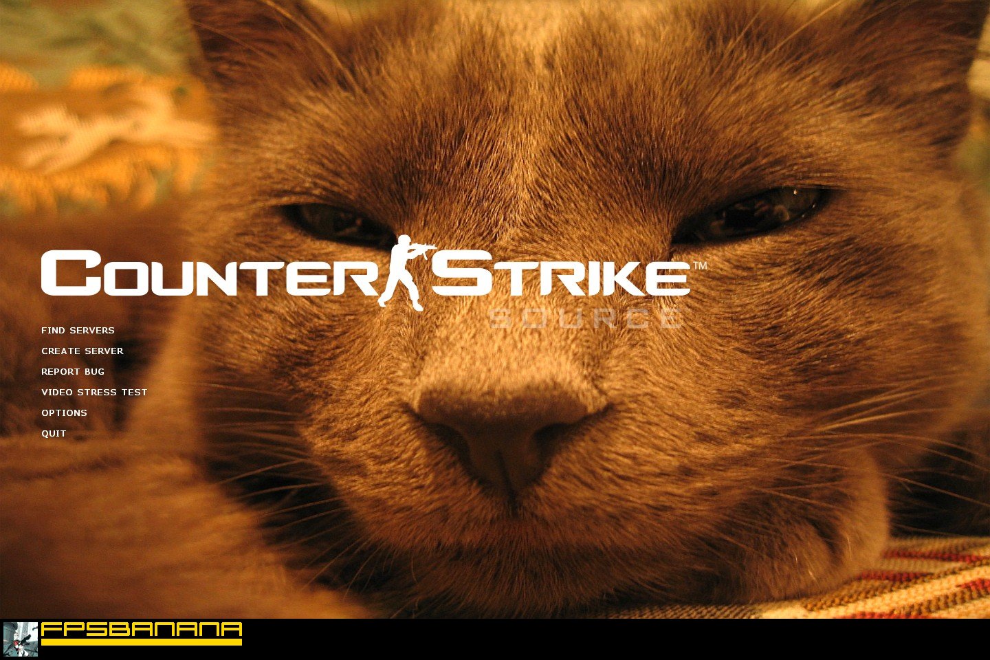 Grey Cat Mod for Counter-Strike: Source | CS:S Mods