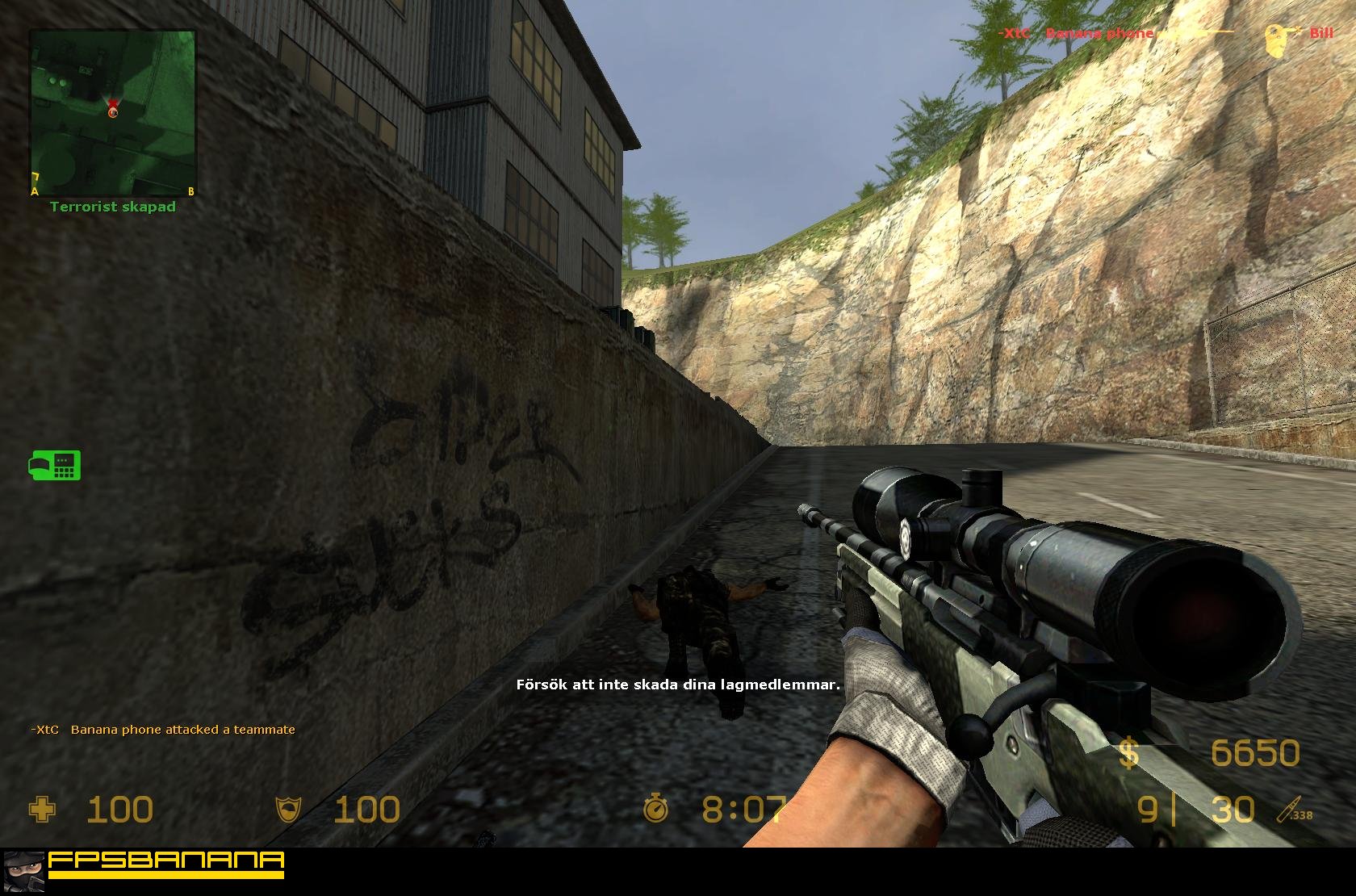 Zebra texture AWP [Counter-Strike: Source] [Mods]