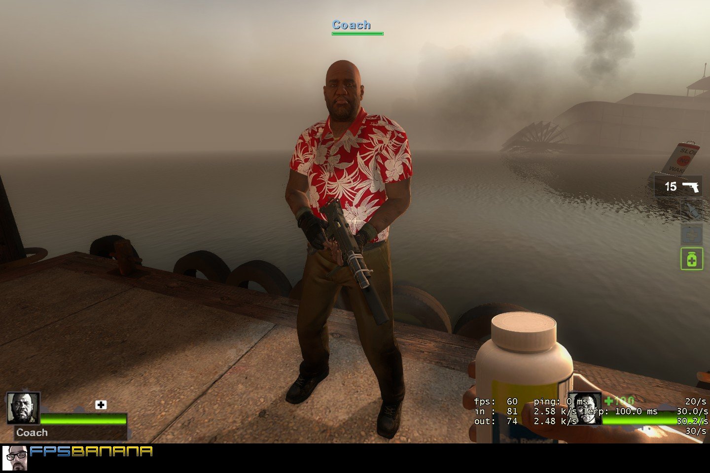 Hawaiian Coach Mod for Left 4 Dead 2 | L4D2 Mods