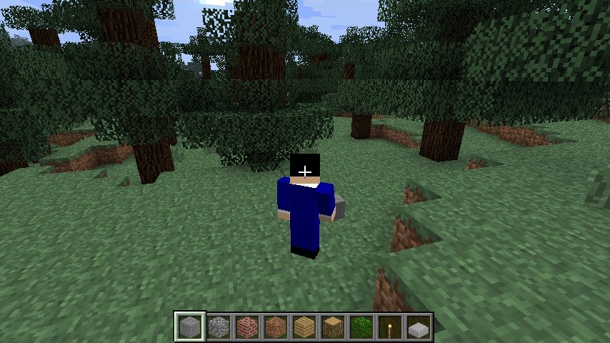 Phoenix Wright Mod for Minecraft: Java Edition | MC Mods