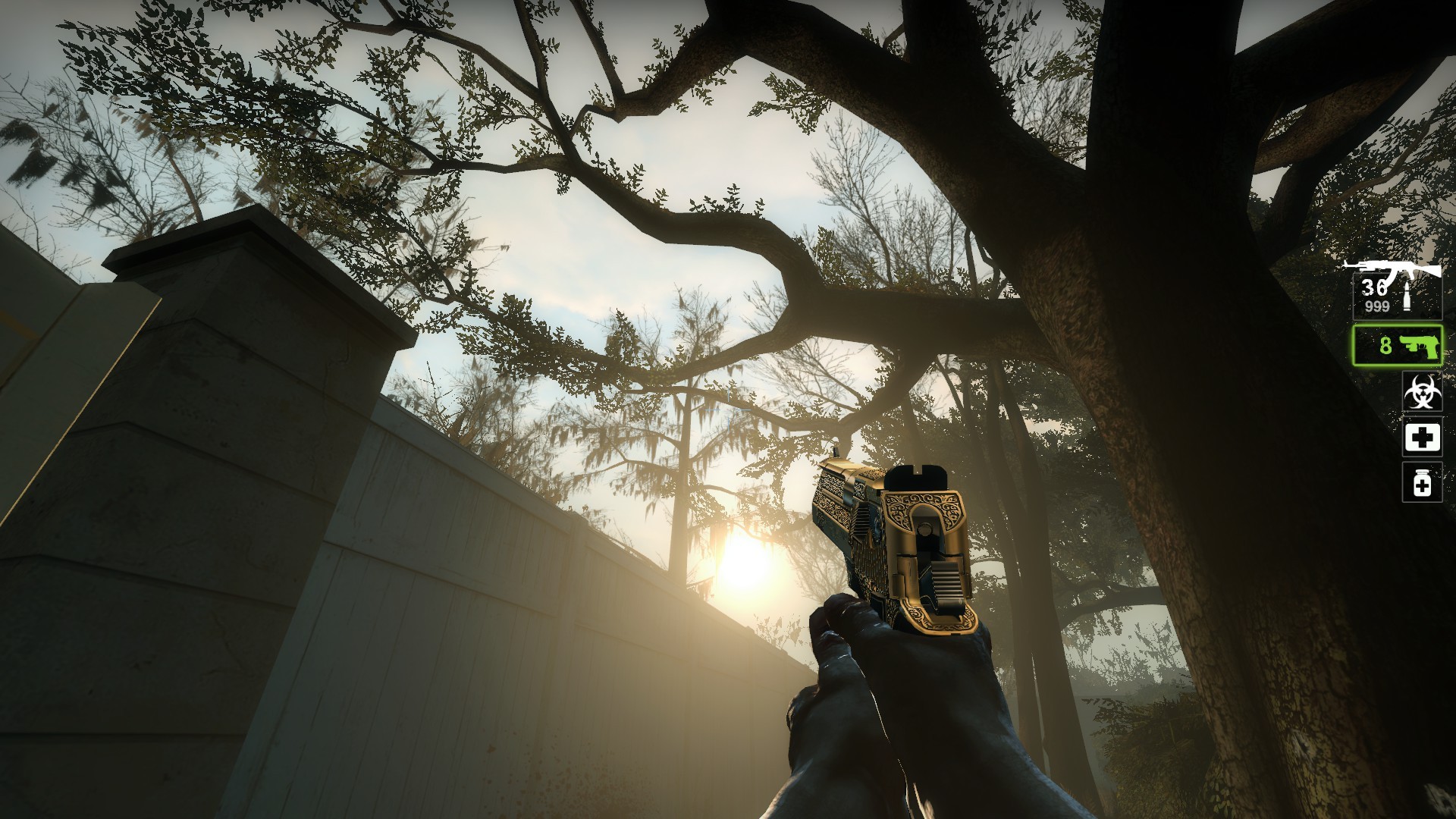 Vashts1985 Deagle Mod for Left 4 Dead 2 | L4D2 Mods