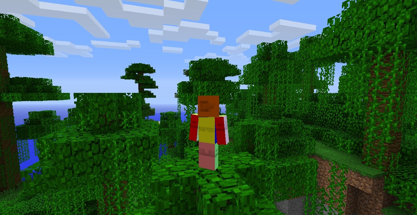 Skin Reference Mod for Minecraft: Java Edition | MC Mods