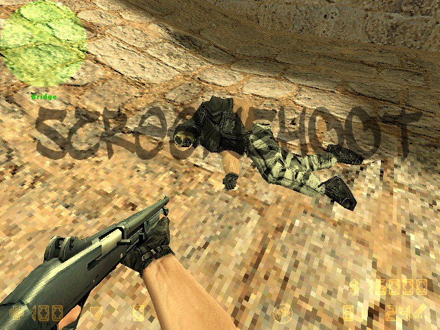 Profesional SAS [Counter-Strike: Condition Zero] [Mods]
