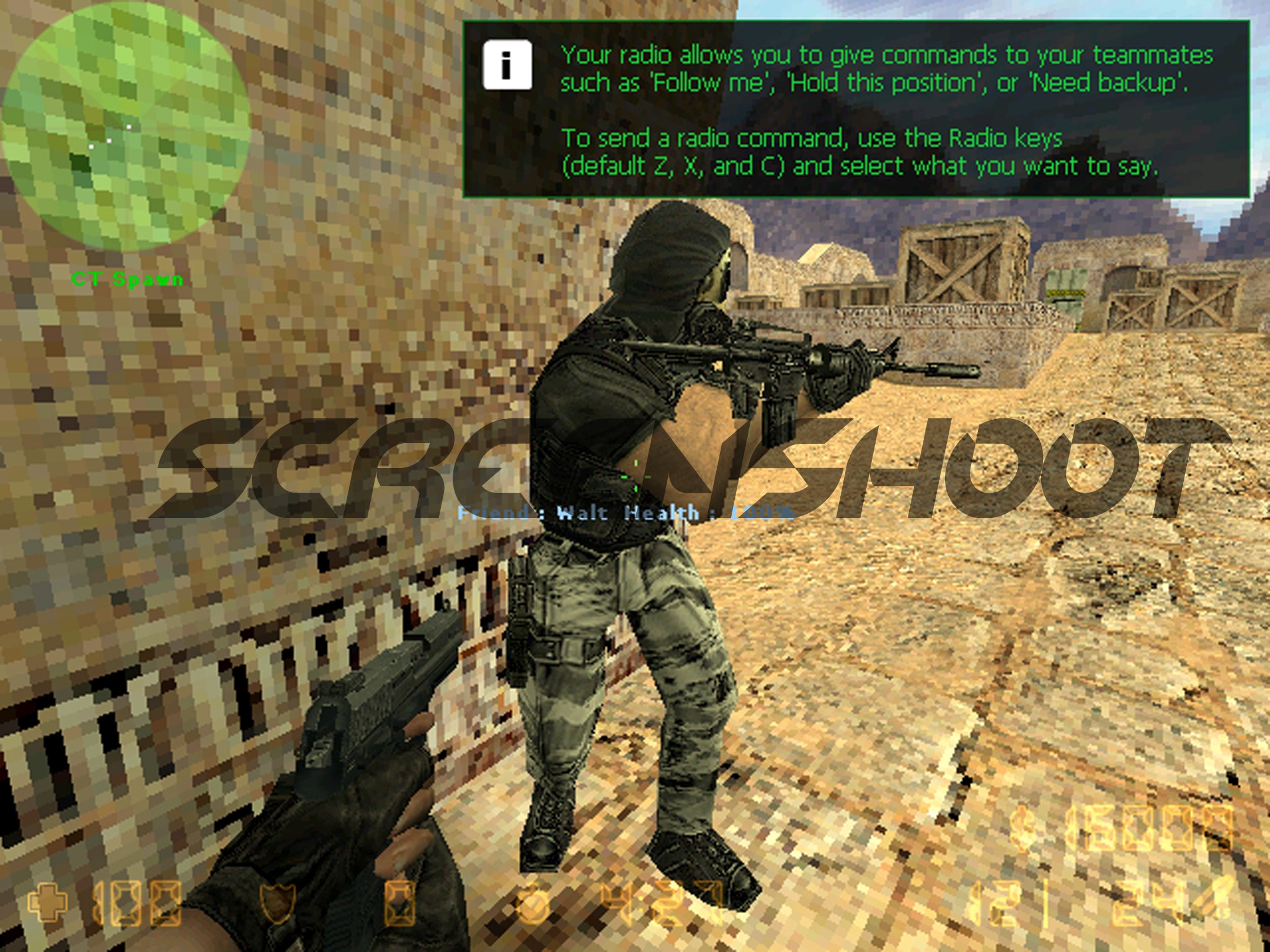 Profesional SAS [Counter-Strike: Condition Zero] [Mods]