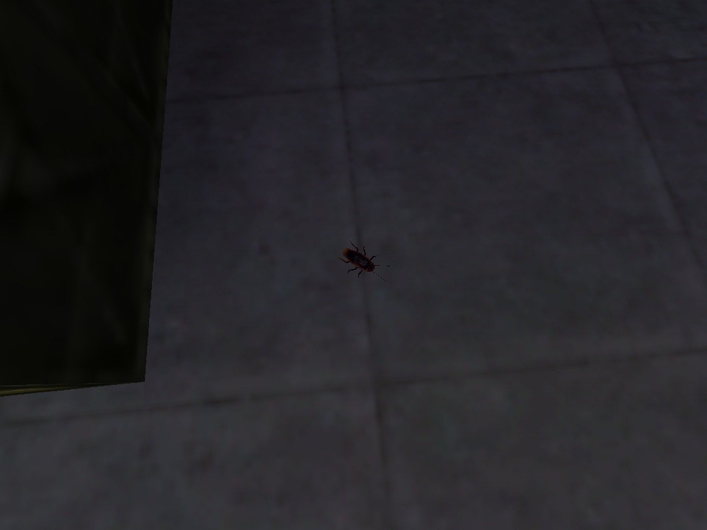 cockroach realistic Mod for Half-Life | HL Mods