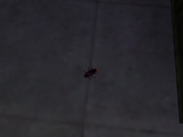 cockroach realistic Mod for Half-Life | HL Mods