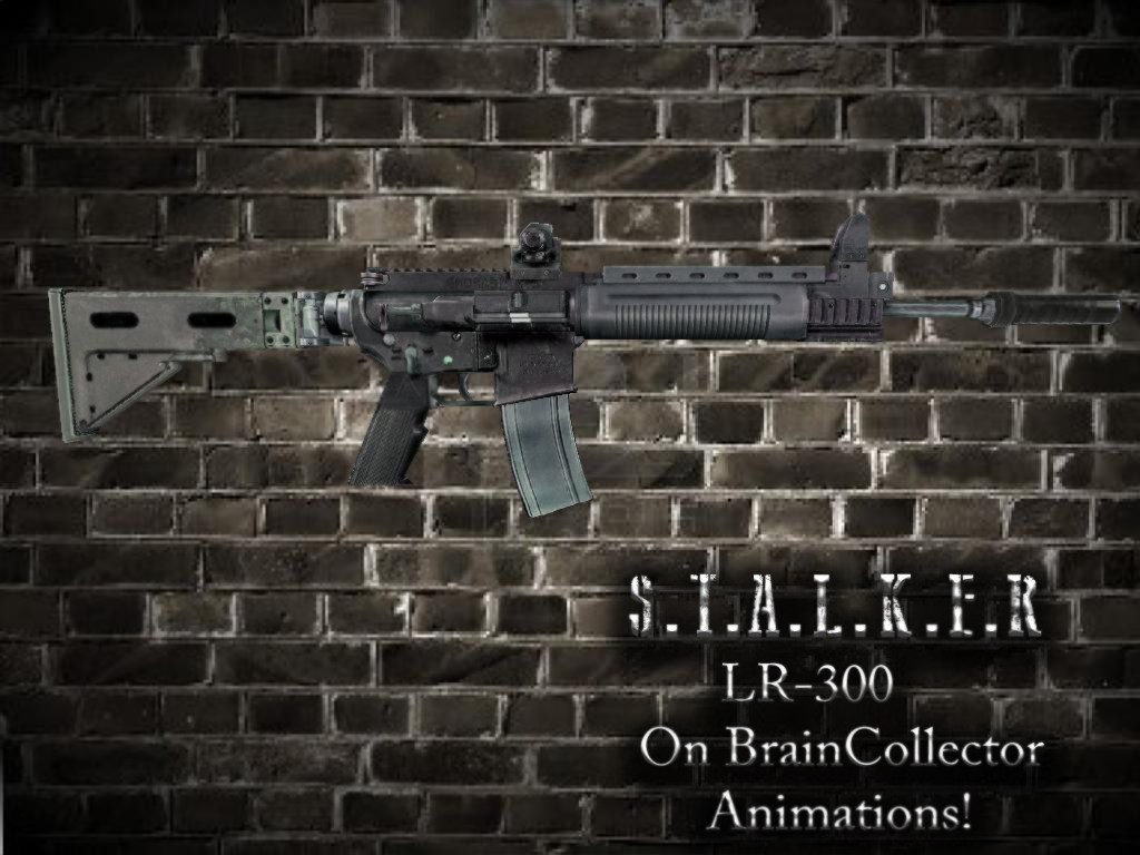 S.T.A.L.K.E.R LR-300 On BrainCollector Anims! [Counter-Strike ...