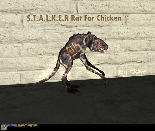 S.T.A.L.K.E.R Rat Thingy for Chicken [Counter-Strike 1.6] [Mods]