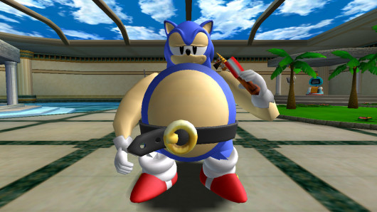 XL Sonic Mod for Sonic Adventure DX | SADX Mods