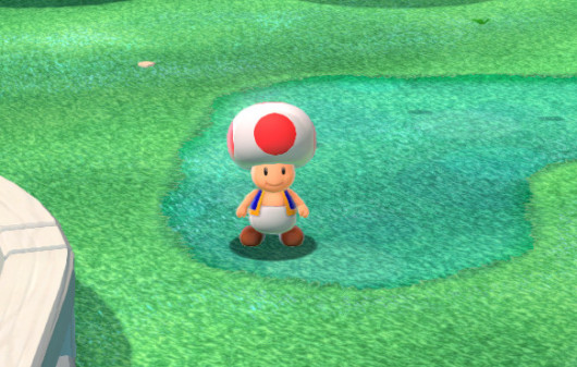 Classic Toad in Super Mario 3D World Mod for Super Mario 3D World ...