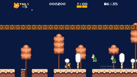 SMB2 world skin sonic boll 2.0 [Boll Deluxe] [Mods]