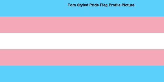 Tom Styled Trans Flag PFP [GameBanana] [Mods]
