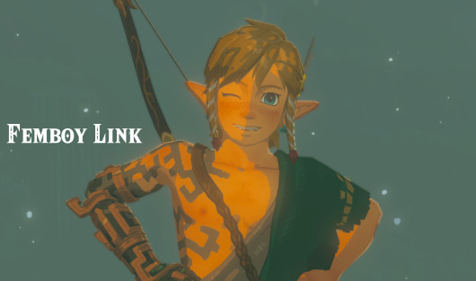 Femboy Link Mod for The Legend of Zelda: Tears of the Kingdom | TOTK Mods