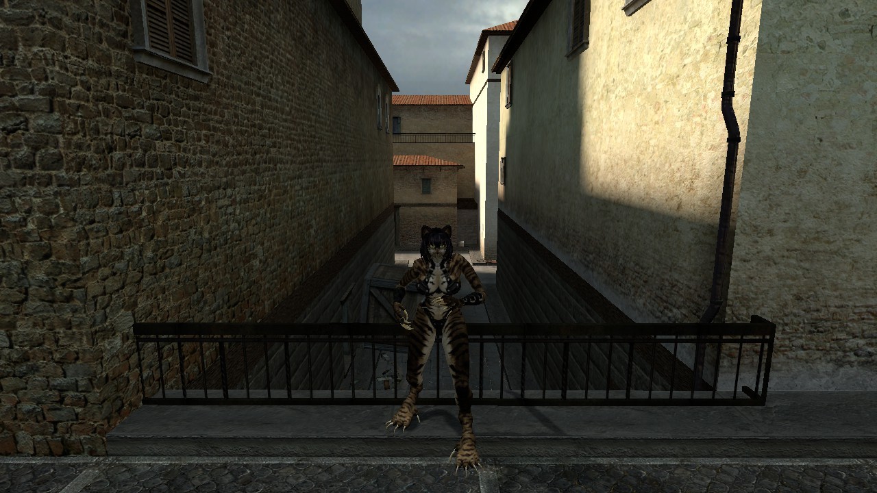 Cat Mod for Counter-Strike: Source | CS:S Mods