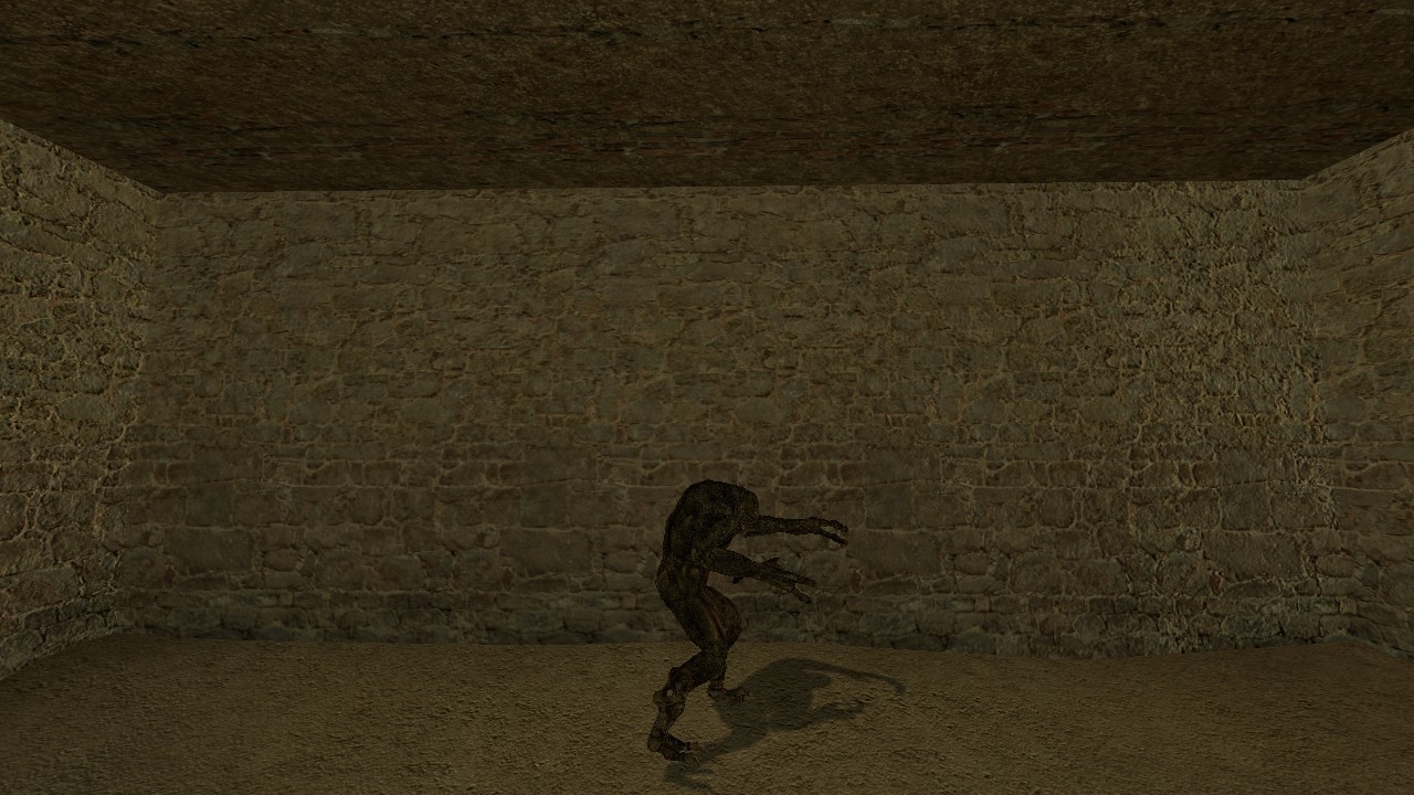 Librarian METRO 2033 [Counter-Strike: Source] [Mods]