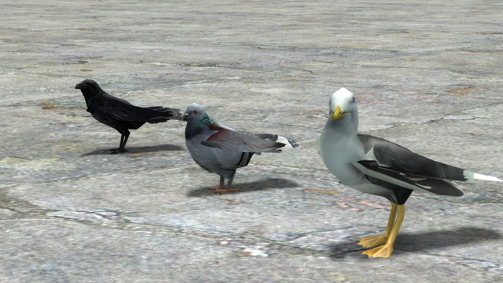 HD Bird Textures for Half-Life 2. Mod for Half-Life 2 | HL2 Mods