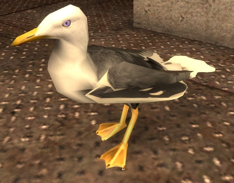 HD Bird Textures for Half-Life 2. Mod for Half-Life 2 | HL2 Mods