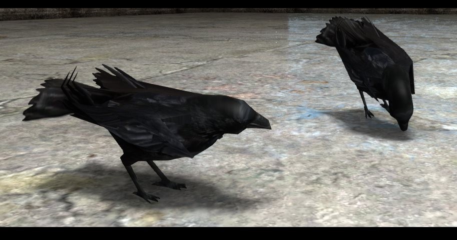 HD Bird Textures for Half-Life 2. Mod for Half-Life 2 | HL2 Mods