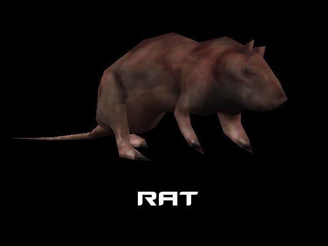 Half-Life Rat Mod for Counter-Strike 1.6 | CS1.6 Mods