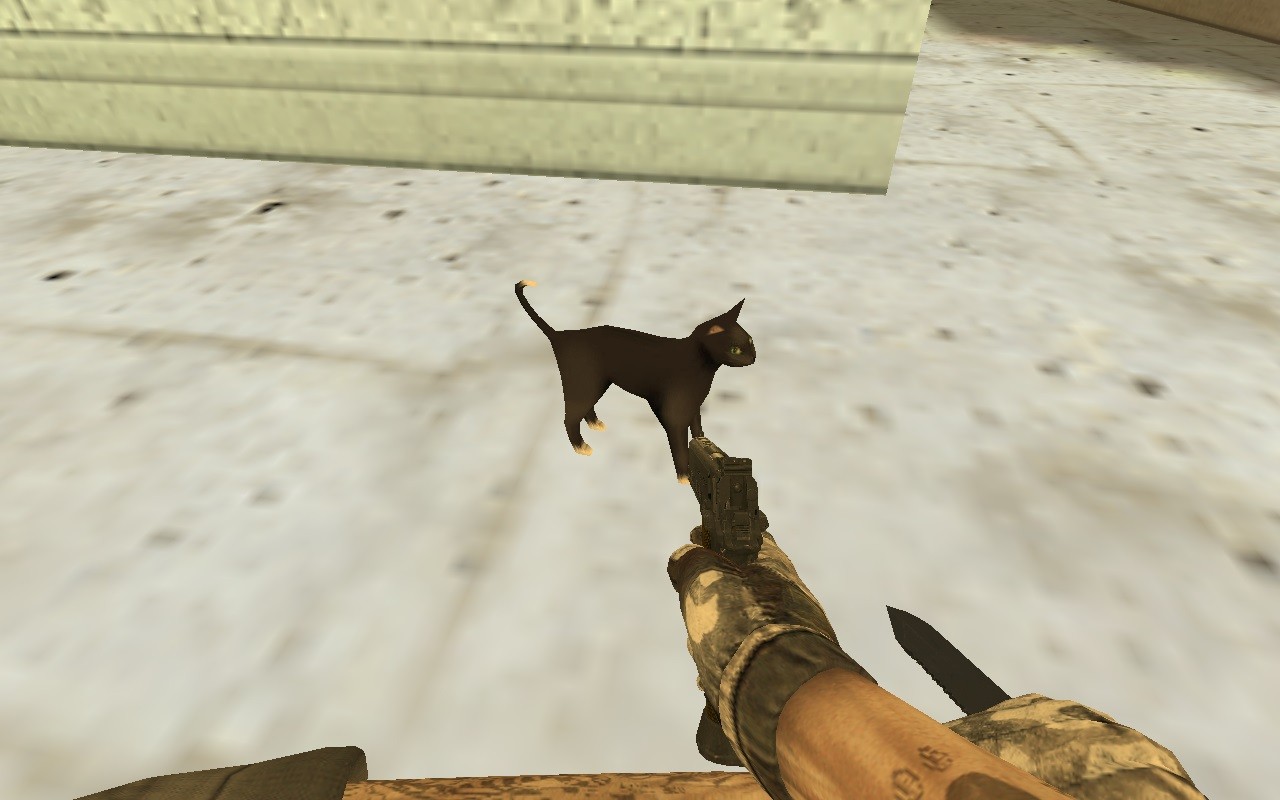 Chicken Is Cat! Mod for Counter-Strike 1.6 | CS1.6 Mods