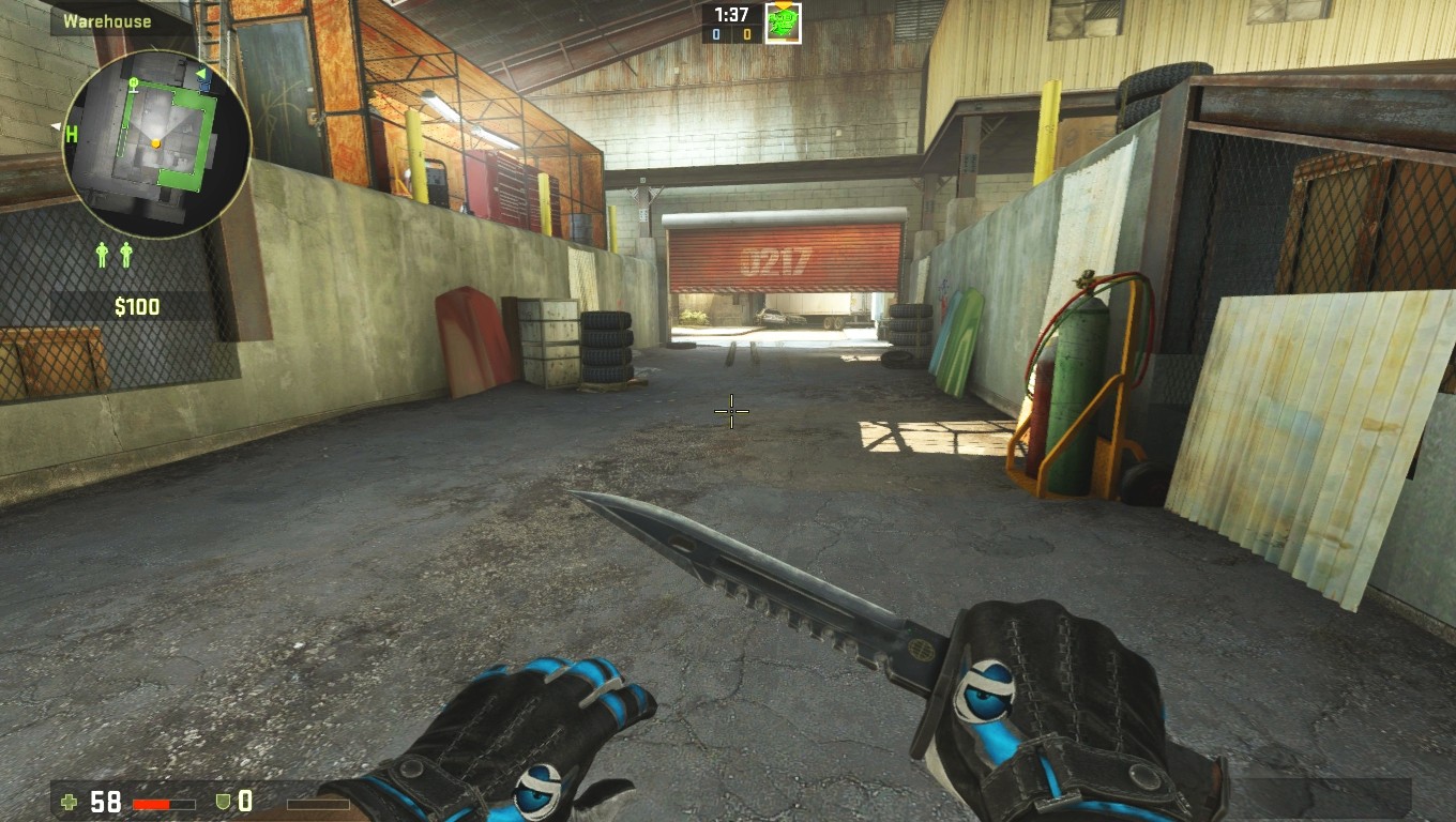 CS:GO | Pro team gloves - Phoenix/Balkan/Professio Mod for Counter ...